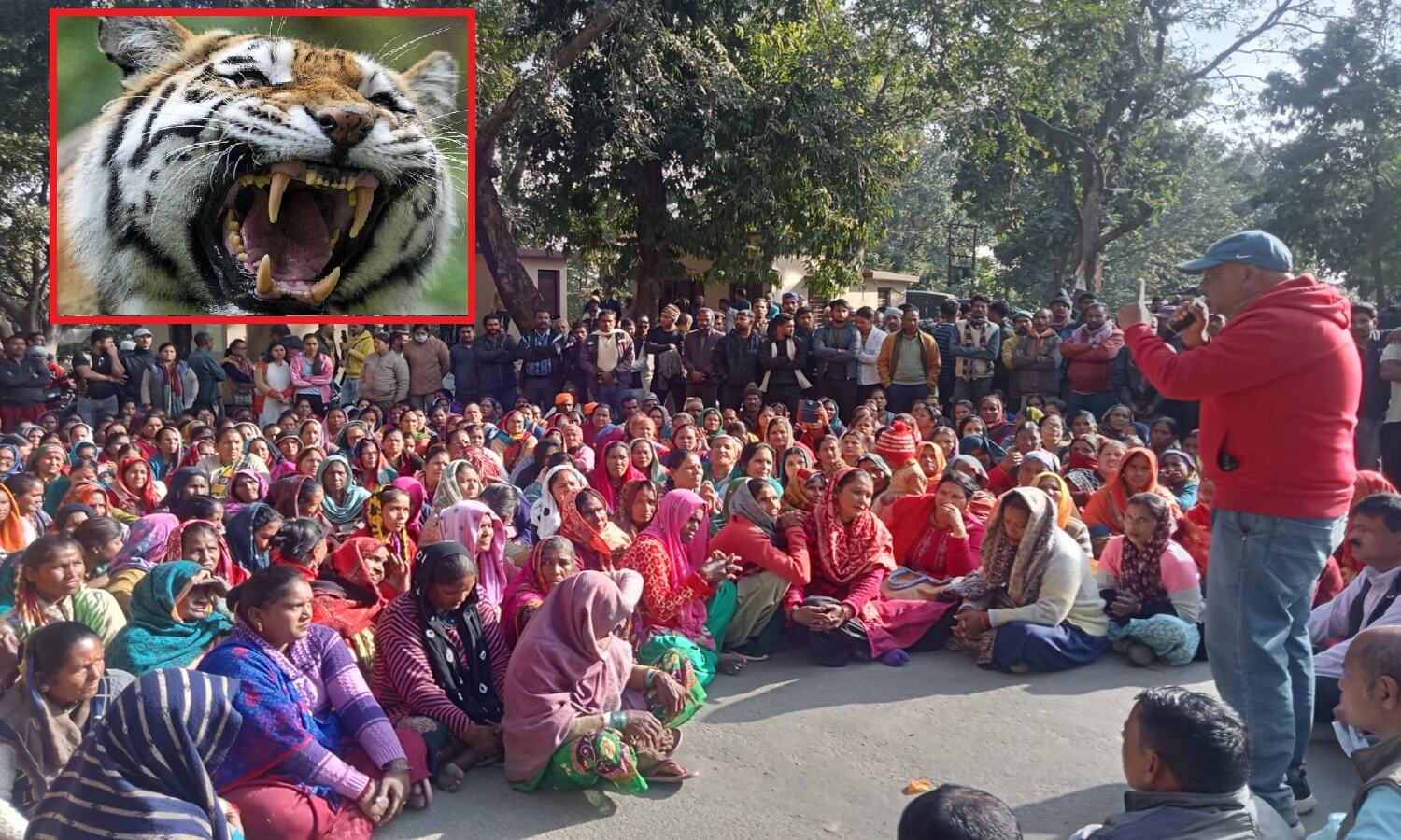 इंसानों को मारकर टाइगर बचाने की सरकारी नीति किसी भी शर्त पर नहीं ...